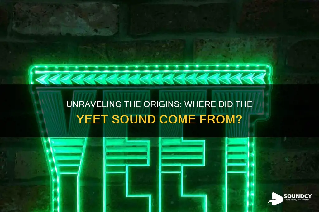 Unraveling The Origins: Where Did The Yeet Sound Come From? | SoundCy