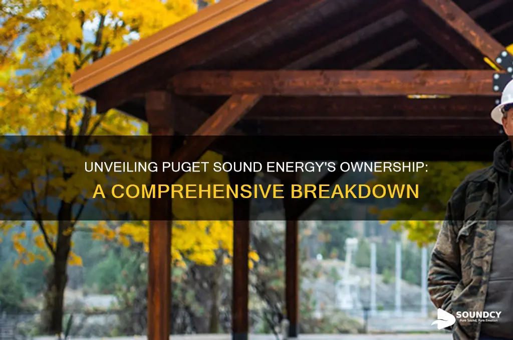 Unveiling Puget Sound Energy's Ownership: A Comprehensive Breakdown ...