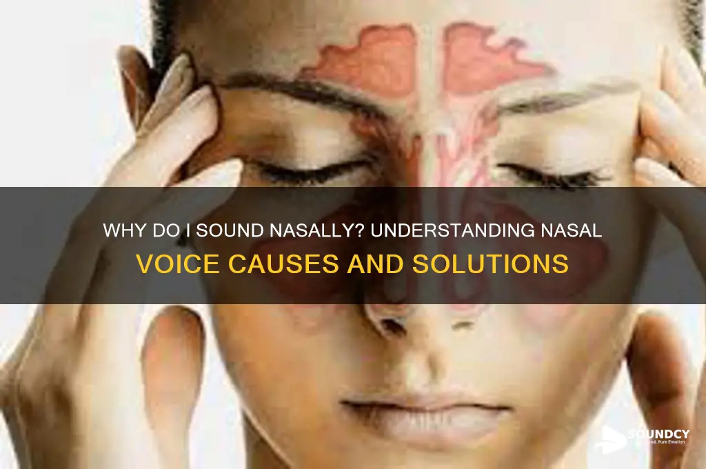 Why Do I Sound Nasally? Understanding Nasal Voice Causes And Solutions ...