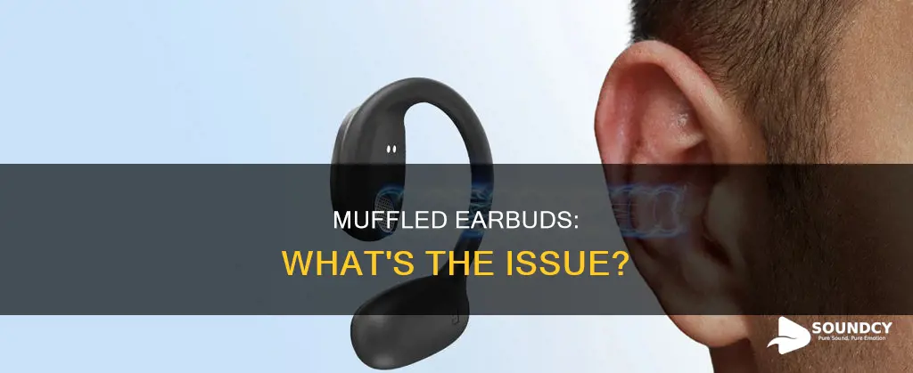 Muffled Earbuds: What's The Issue? | SoundCy