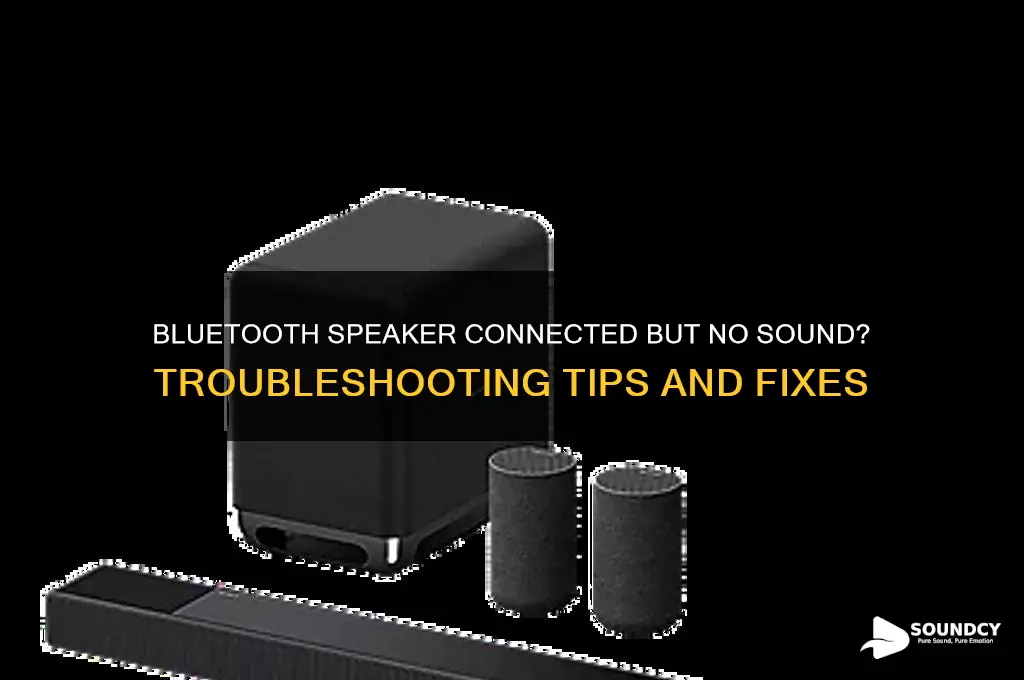 Bluetooth Speaker Connected But No Sound? Troubleshooting Tips And ...